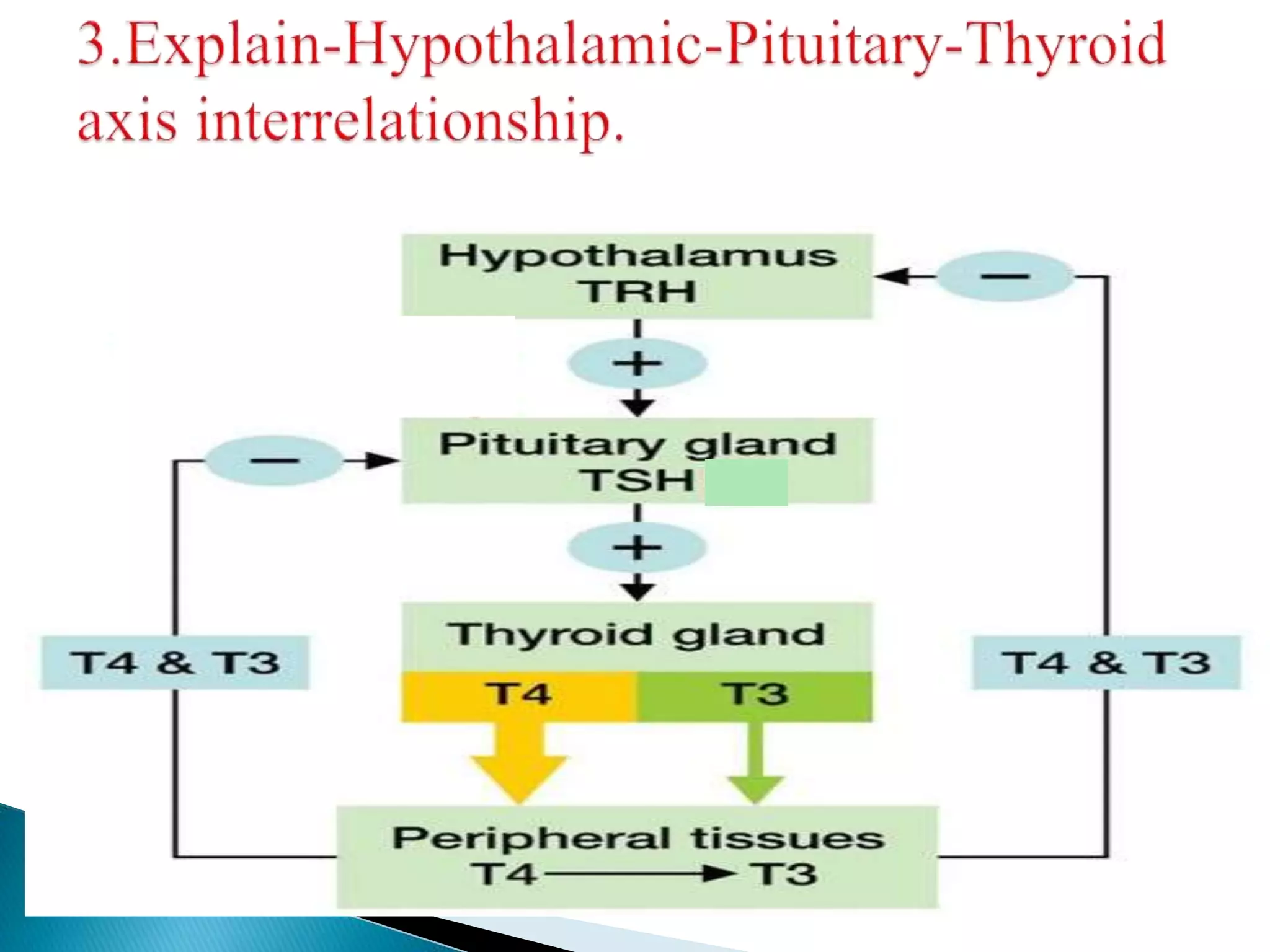 Thyroid gland disorders hyper and hypo0110017 (2) | PPTX