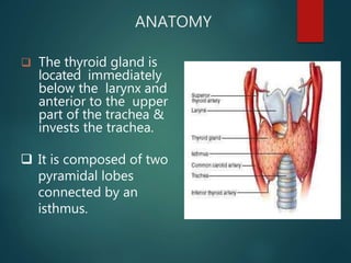Thyroid gland | PPT