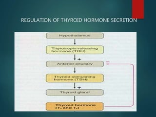 Thyroid gland | PPT