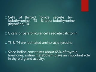 Thyroid gland | PPTX