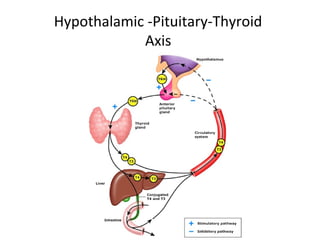 Thyroid gland dysfunction | PPT