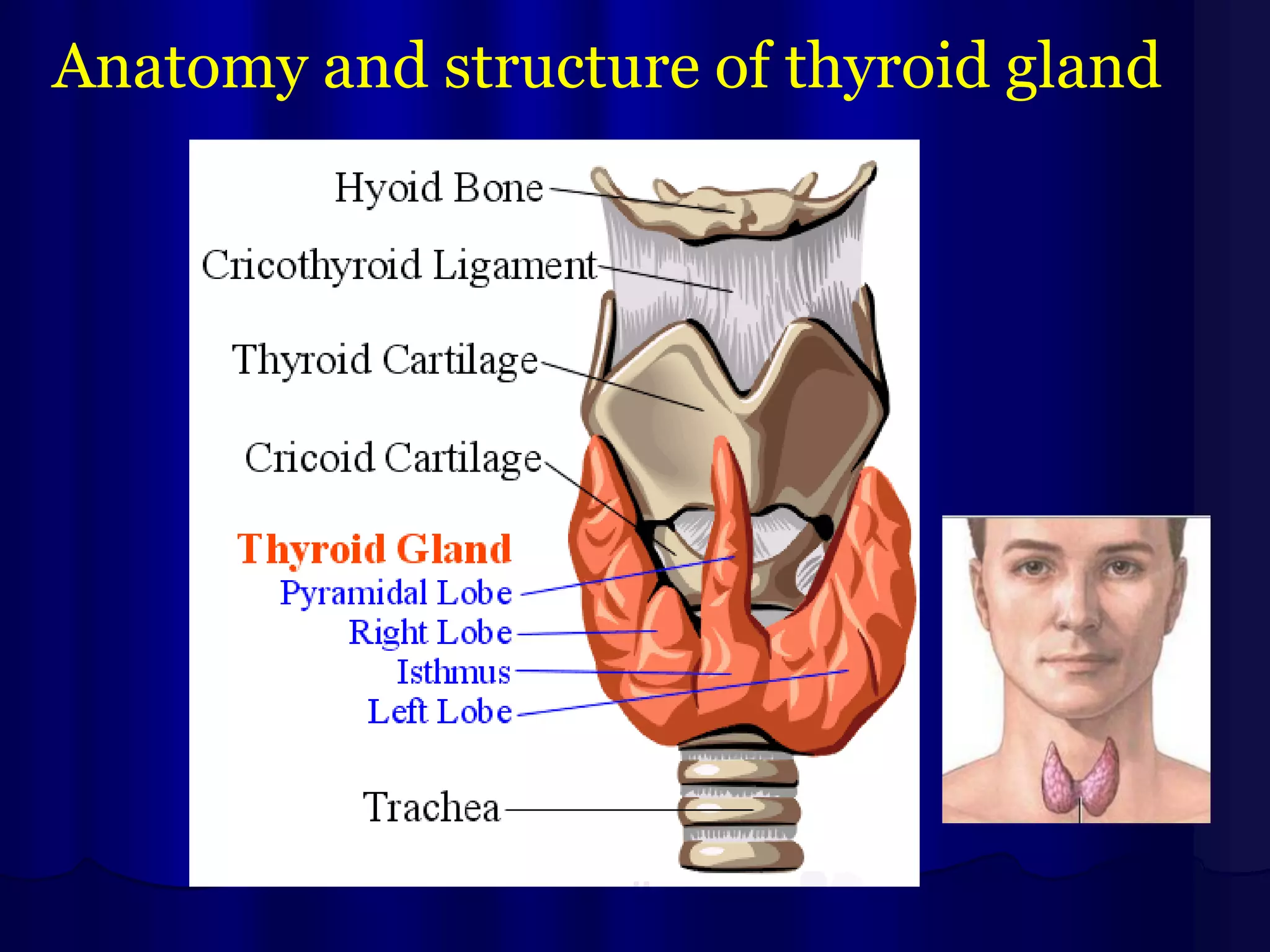 Thyroid gland dysfunction2. | PPT