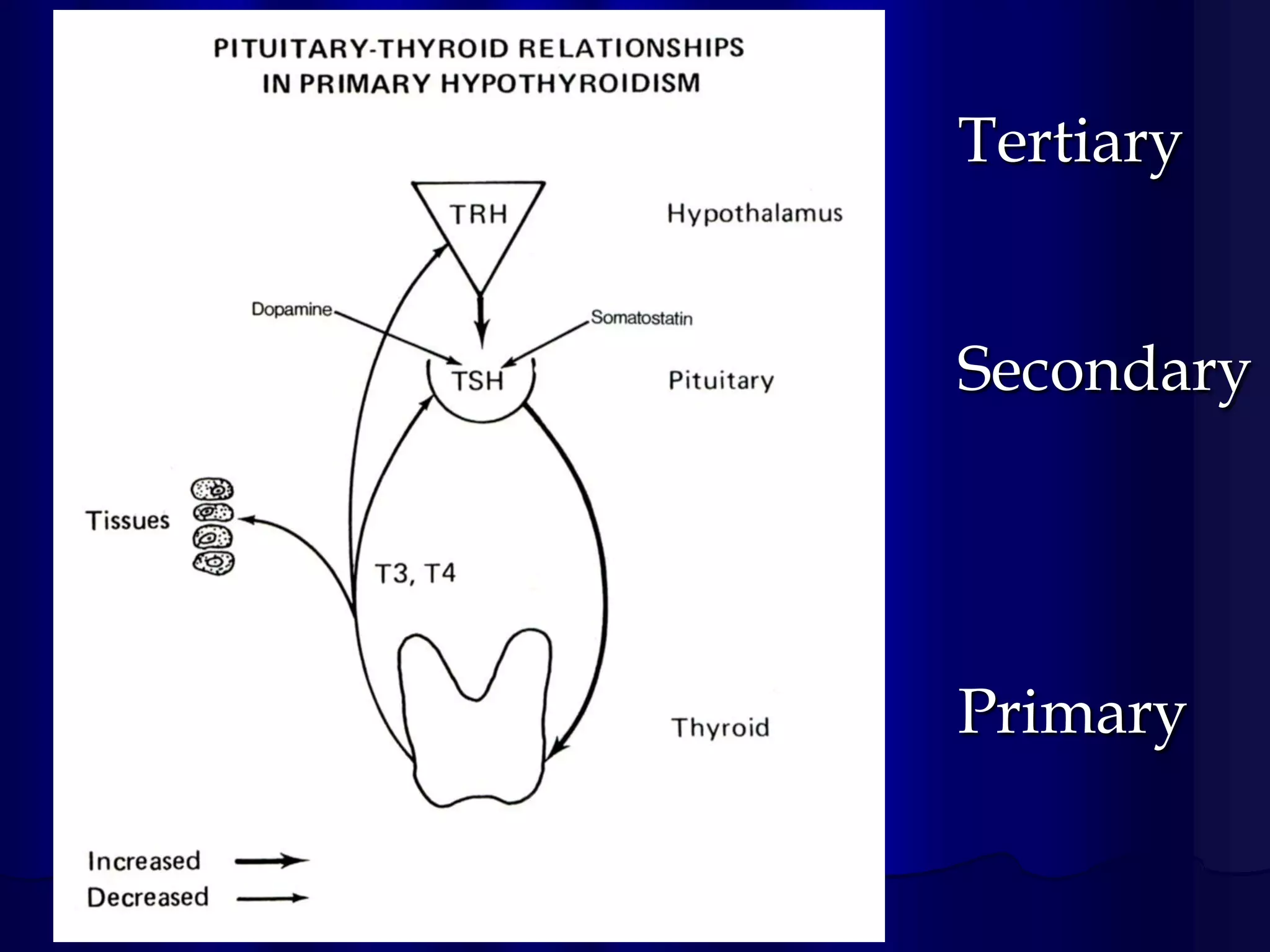 Thyroid gland dysfunction2. | PPT