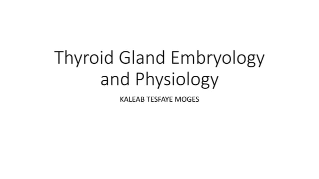 Thyroid gland embryology and physiology | PPT