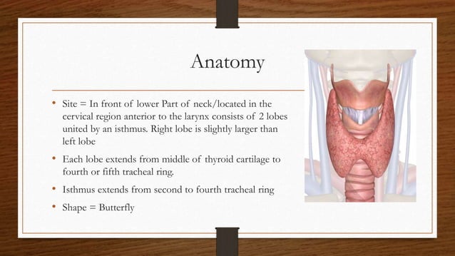 Thyroid gland examination | PPTX