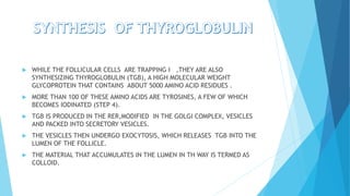 Thyroid gland ( glandula thyreoidea) | PPTX
