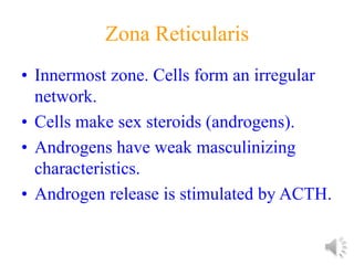 Thyroid gland(hassan fathy) | PPT