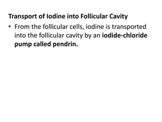 Thyroid gland hormones and cateholamines.pdf | Thyroid Disorders ...