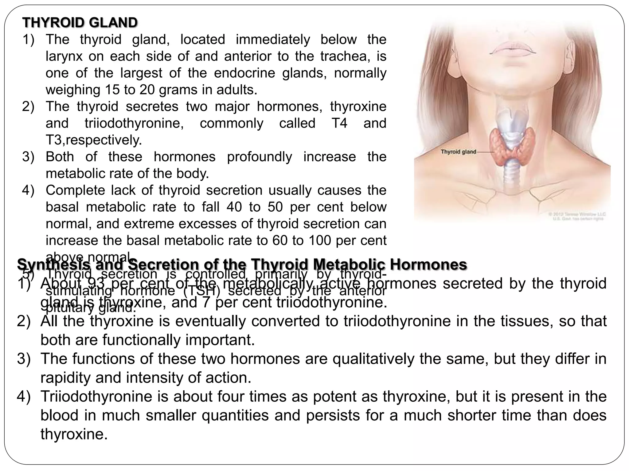 Thyroid gland | PPTX