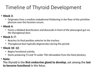 Thyroid_Gland_Introduction&embryology[1].pptx