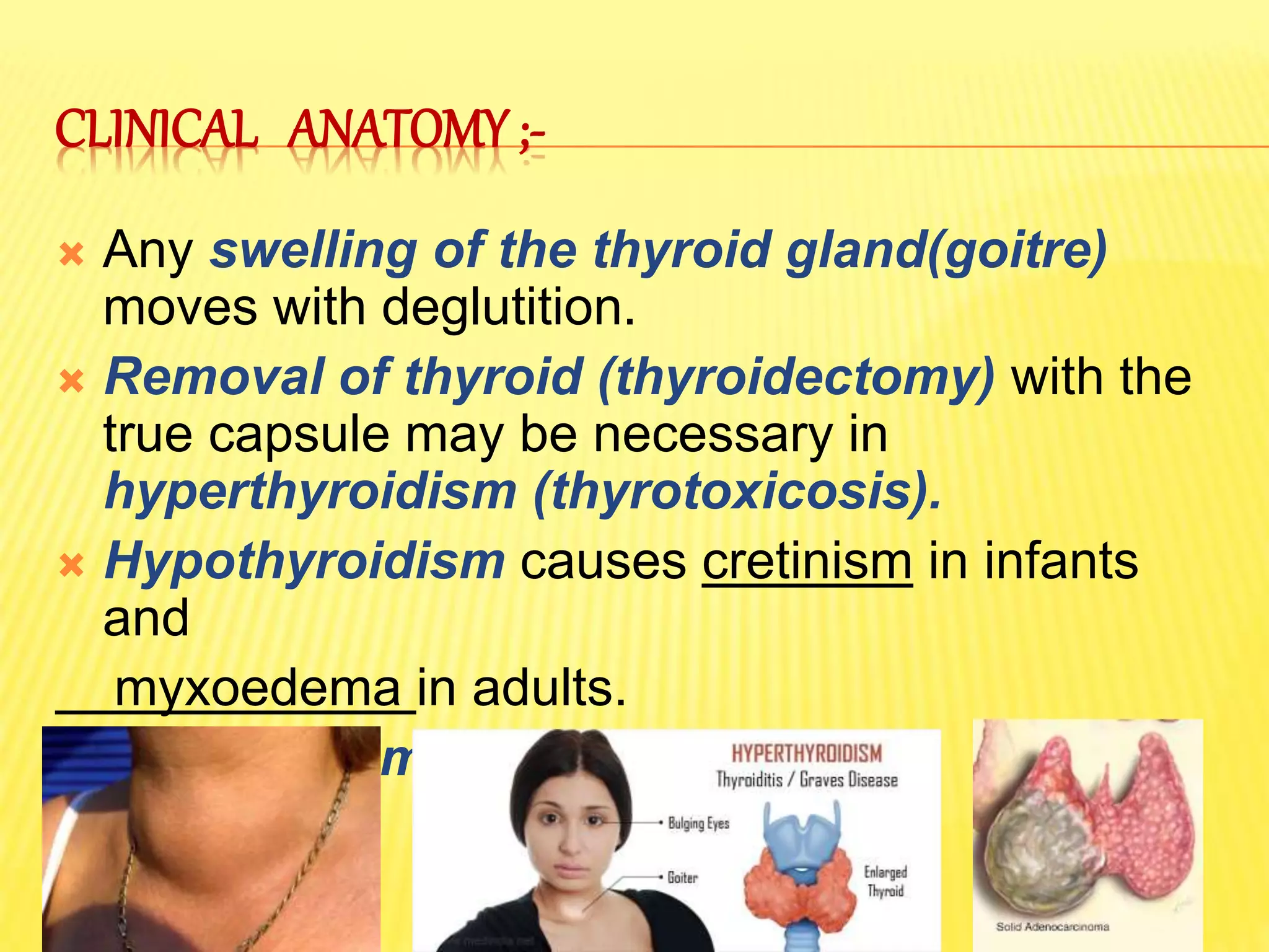Anatomy of Thyroid gland | PPTX