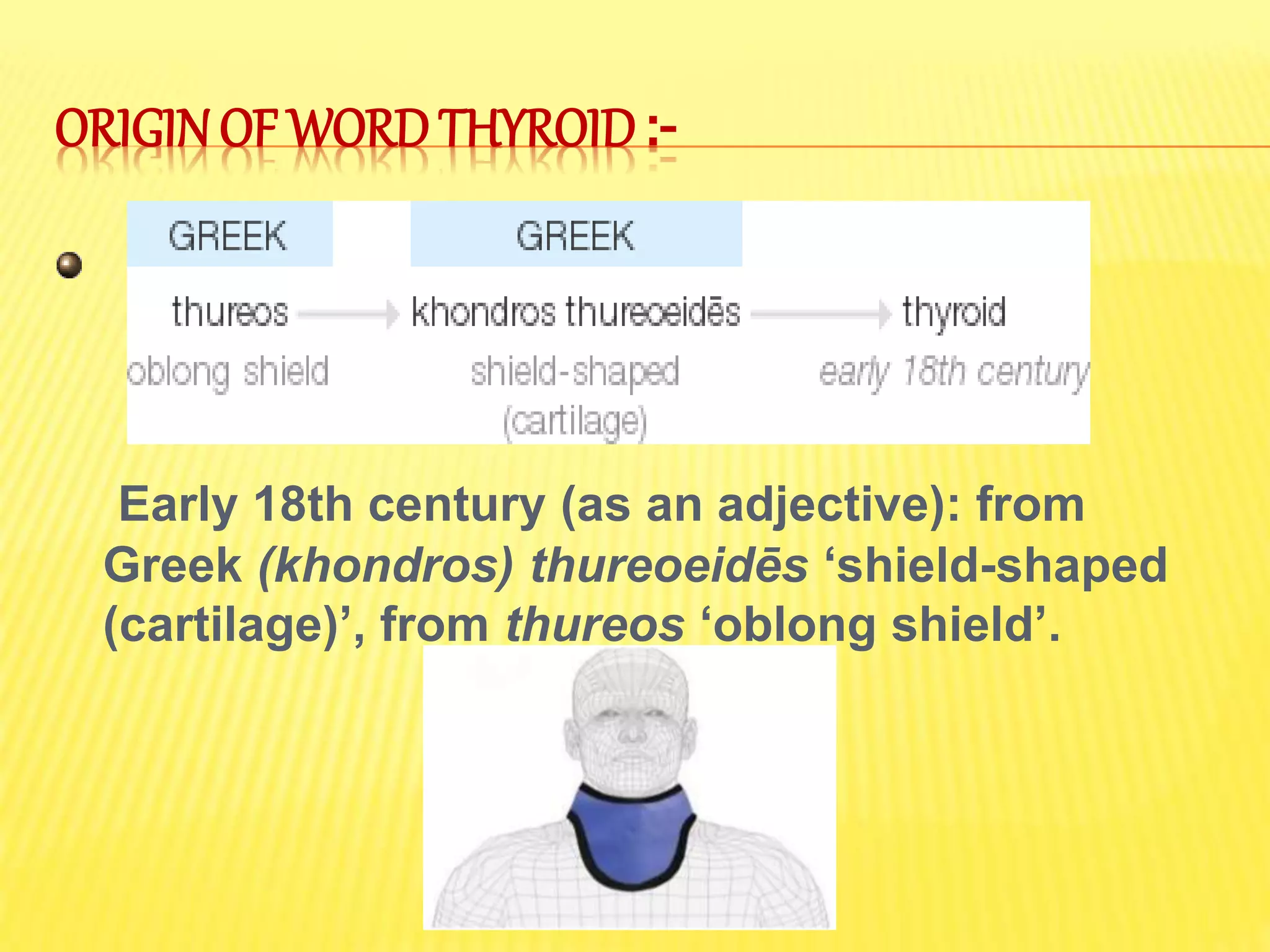 Anatomy of Thyroid gland | PPTX