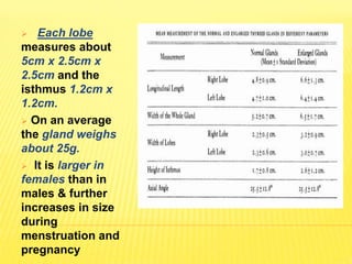 Anatomy of Thyroid gland | PPTX