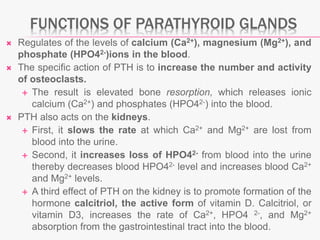Thyroid gland¶thyroid gland - Secretion, Function and Regulation | PPTX