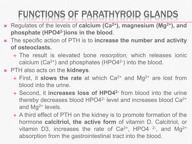 Thyroid gland¶thyroid gland - Secretion, Function and Regulation | PPT