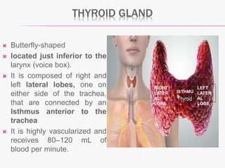 Thyroid gland¶thyroid gland - Secretion, Function and Regulation | PPT