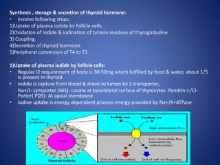 Thyroid gland pharmacology b.pharm 5th sem.pptx