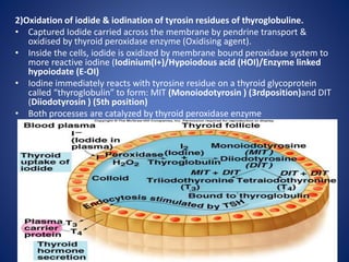 Thyroid gland pharmacology b.pharm 5th sem.pptx