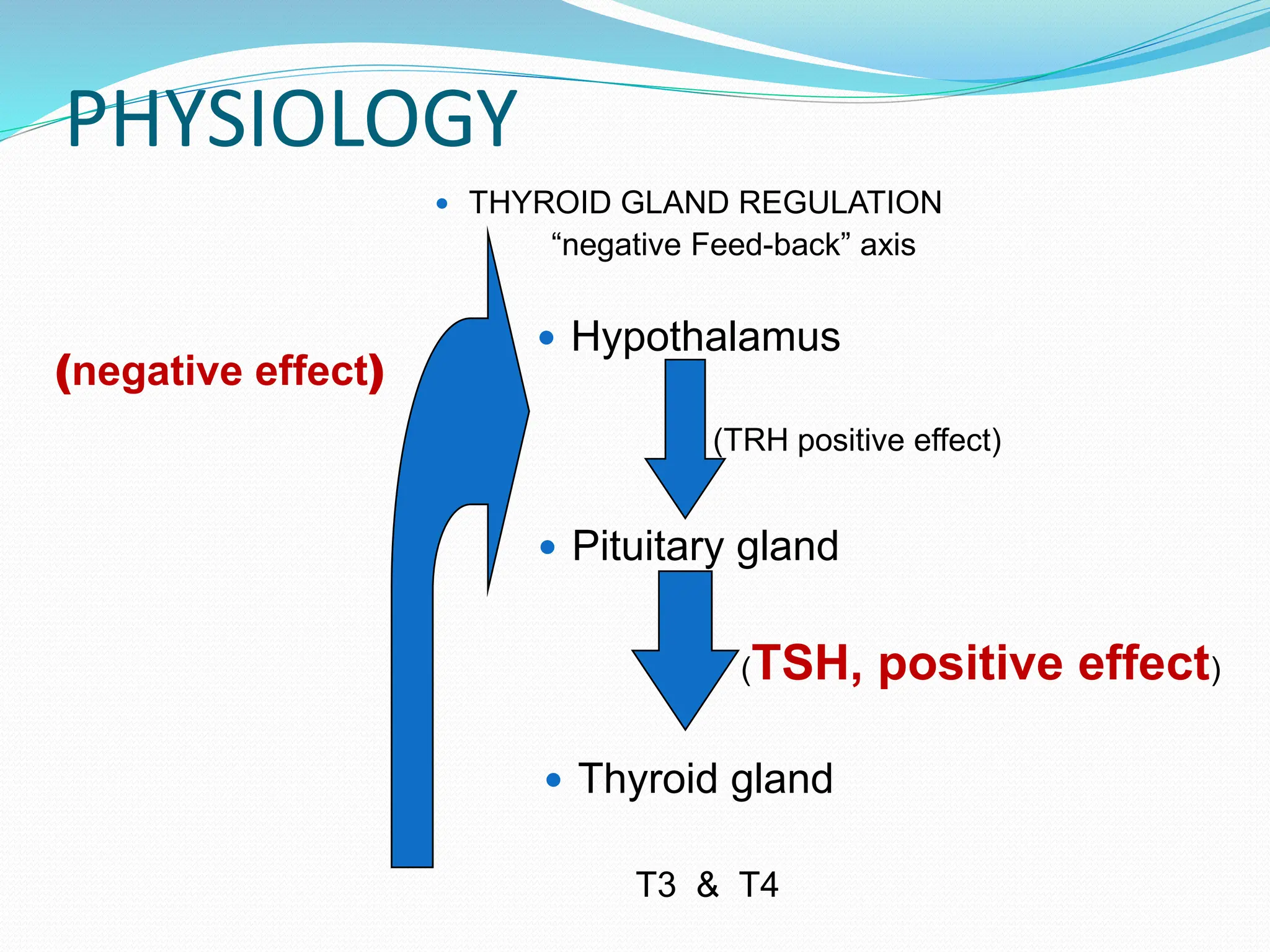 Thyroid Gland Physiology And Disorders.pptx