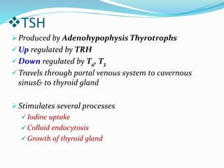 Thyroid Gland Physiology And Disorders.pptx