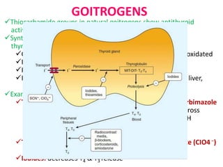 Thyroid gland_ Physiology_pathology_drugs.pptx