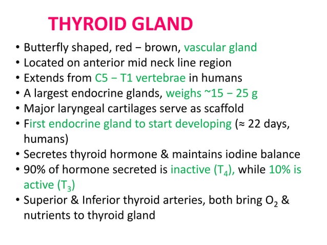 Thyroid gland_ Physiology_pathology_drugs.pptx