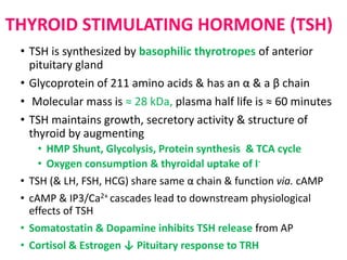 Thyroid gland_ Physiology_pathology_drugs.pptx