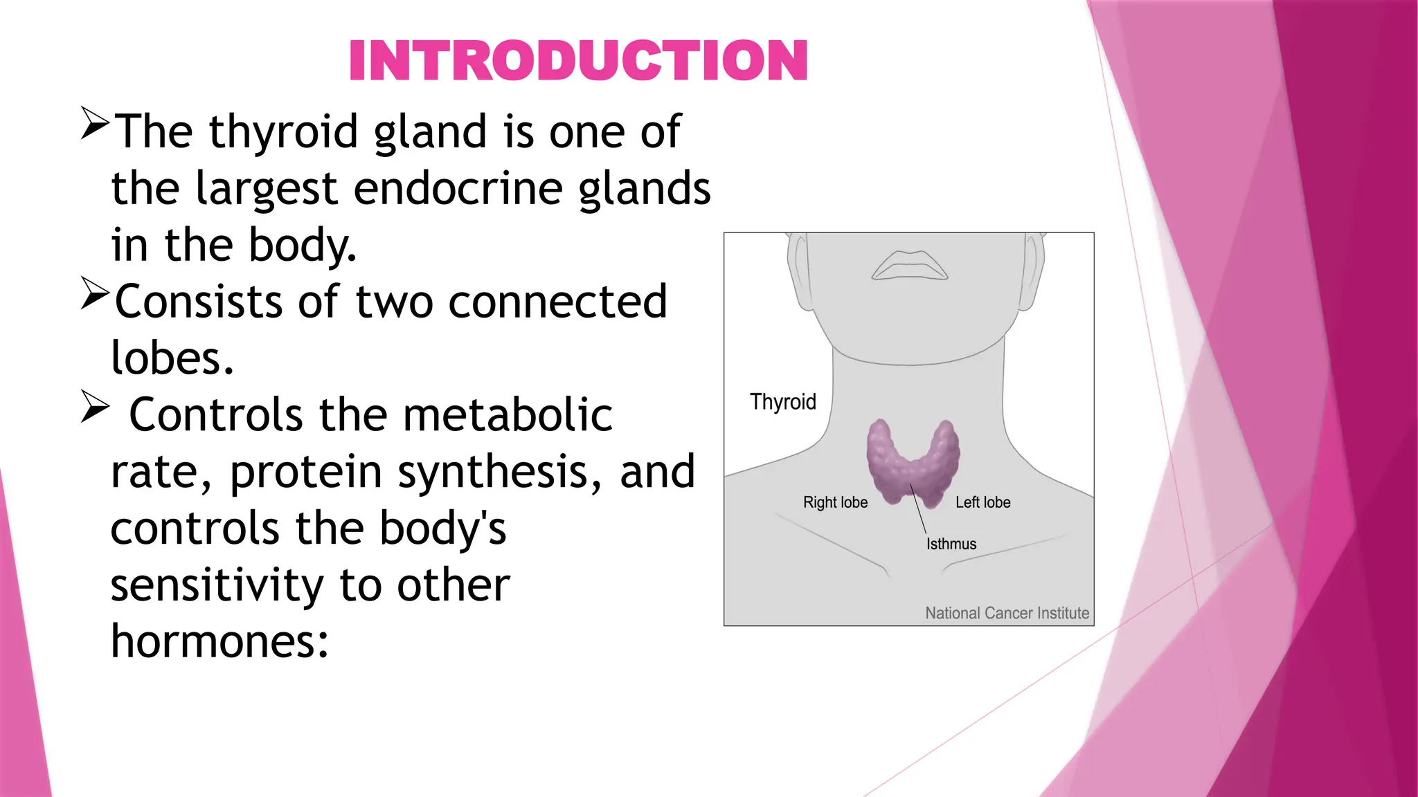 Thyroid gland ppt.pptx 1 :introduction 2: associated organ 3: secretion ...