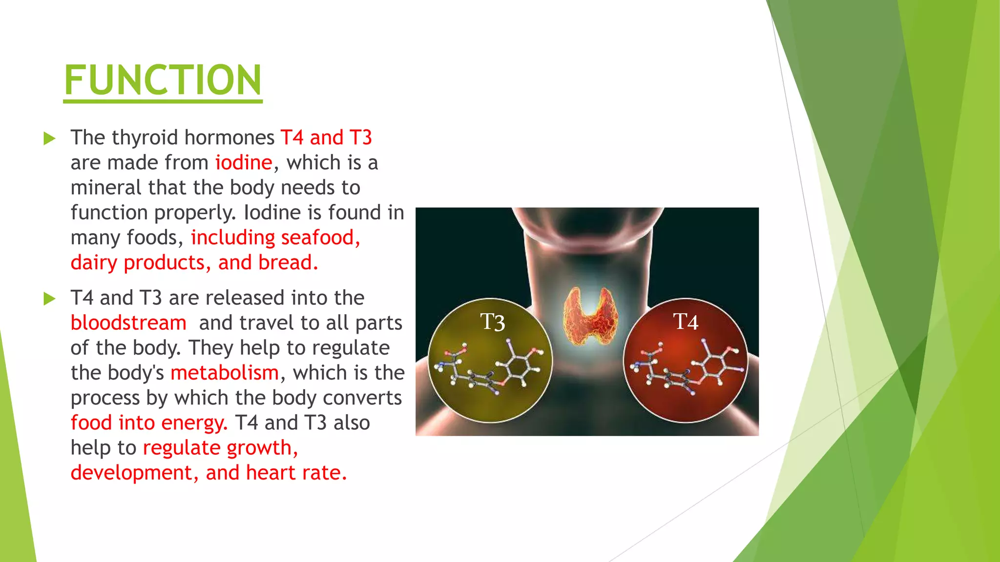 THYROID GLAND PRASENTATION BY A7 STARK 🐝 Less ☀️.pptx