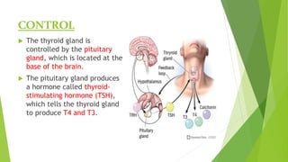 THYROID GLAND PRASENTATION BY A7 STARK 🐝 Less ☀️.pptx