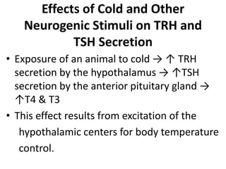 Thyroid gland regulation | PPT