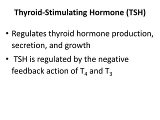 Thyroid gland regulation | PPT