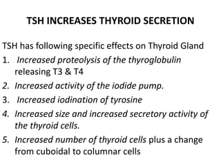 Thyroid gland regulation | PPT