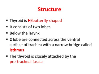 Thyroid gland structure and function | PPTX
