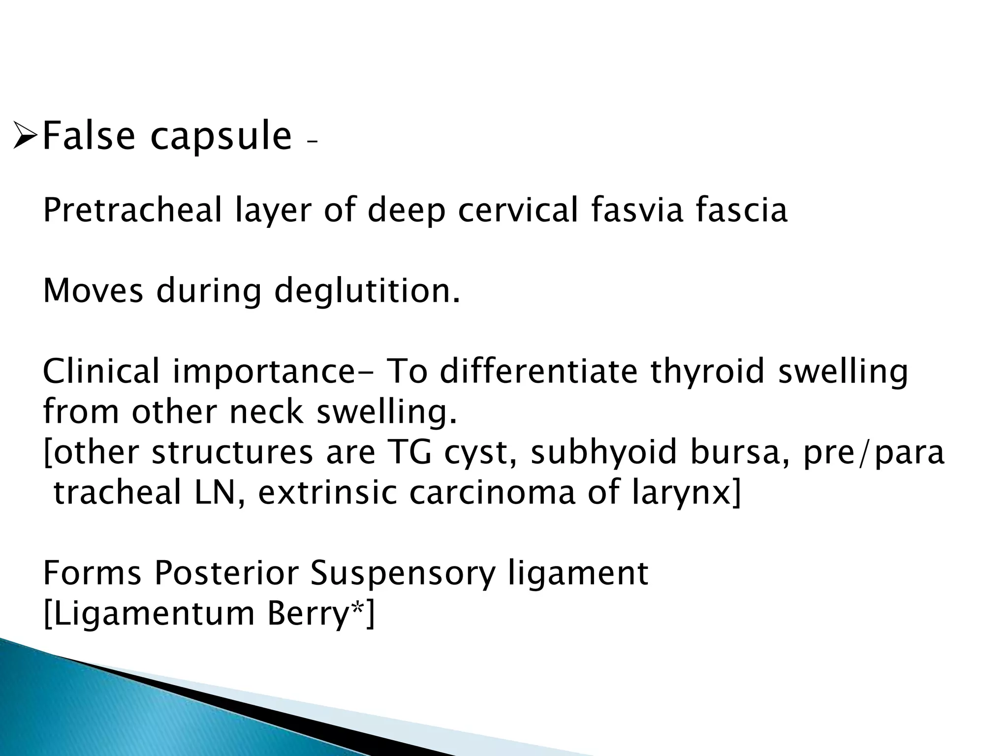 Thyroid gland surgical anatomy | PPTX