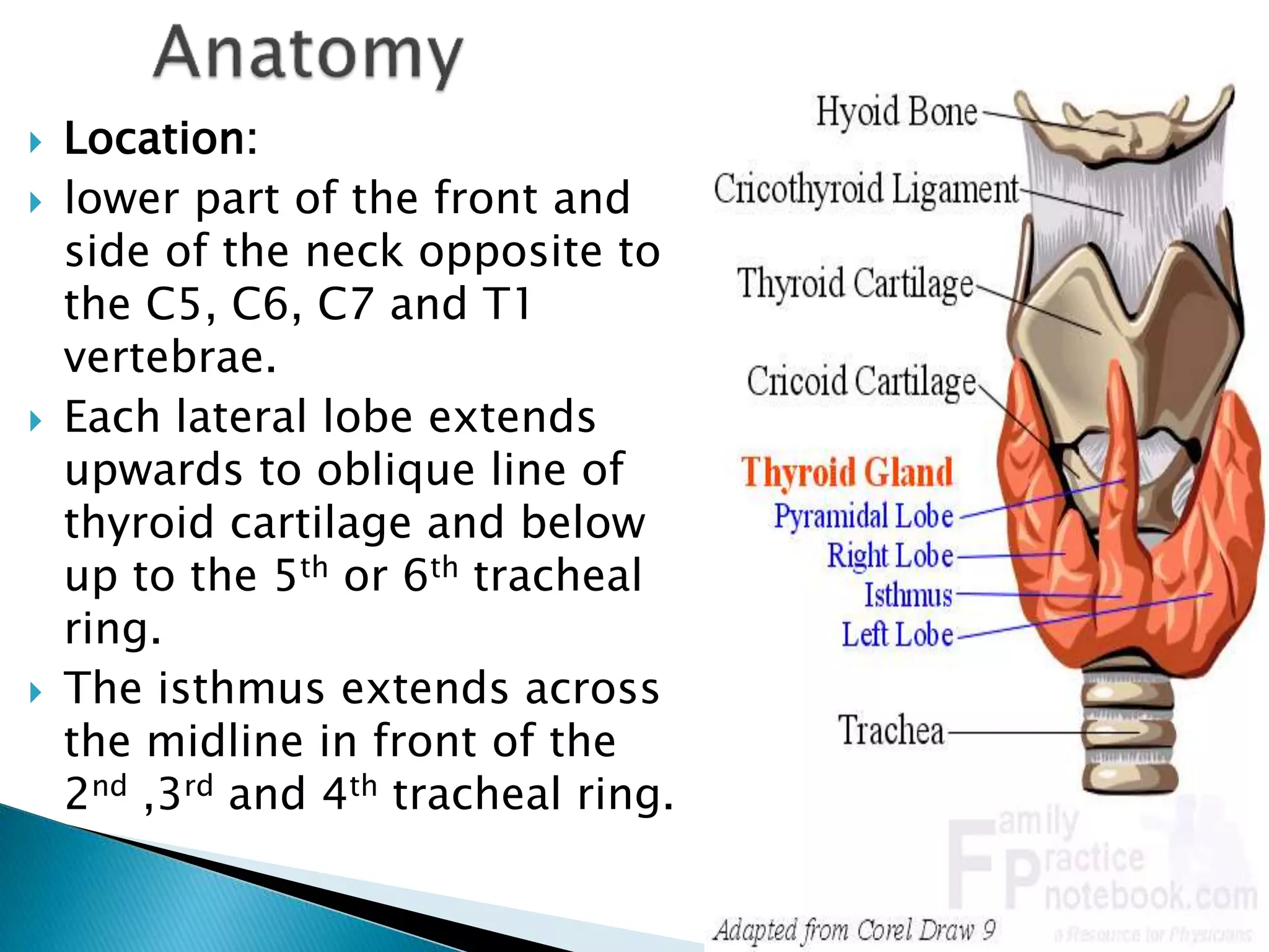 Thyroid gland surgical anatomy | PPTX