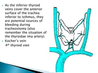 Thyroid gland surgical anatomy | PPTX