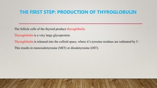 Thyroid Hormone | PPTX