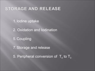 Thyroid hormone | PPT