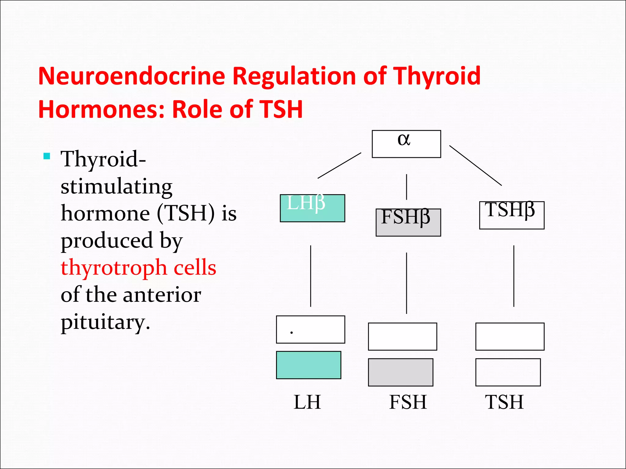 Thyroidhormone 140609084017-phpapp01 | PPT