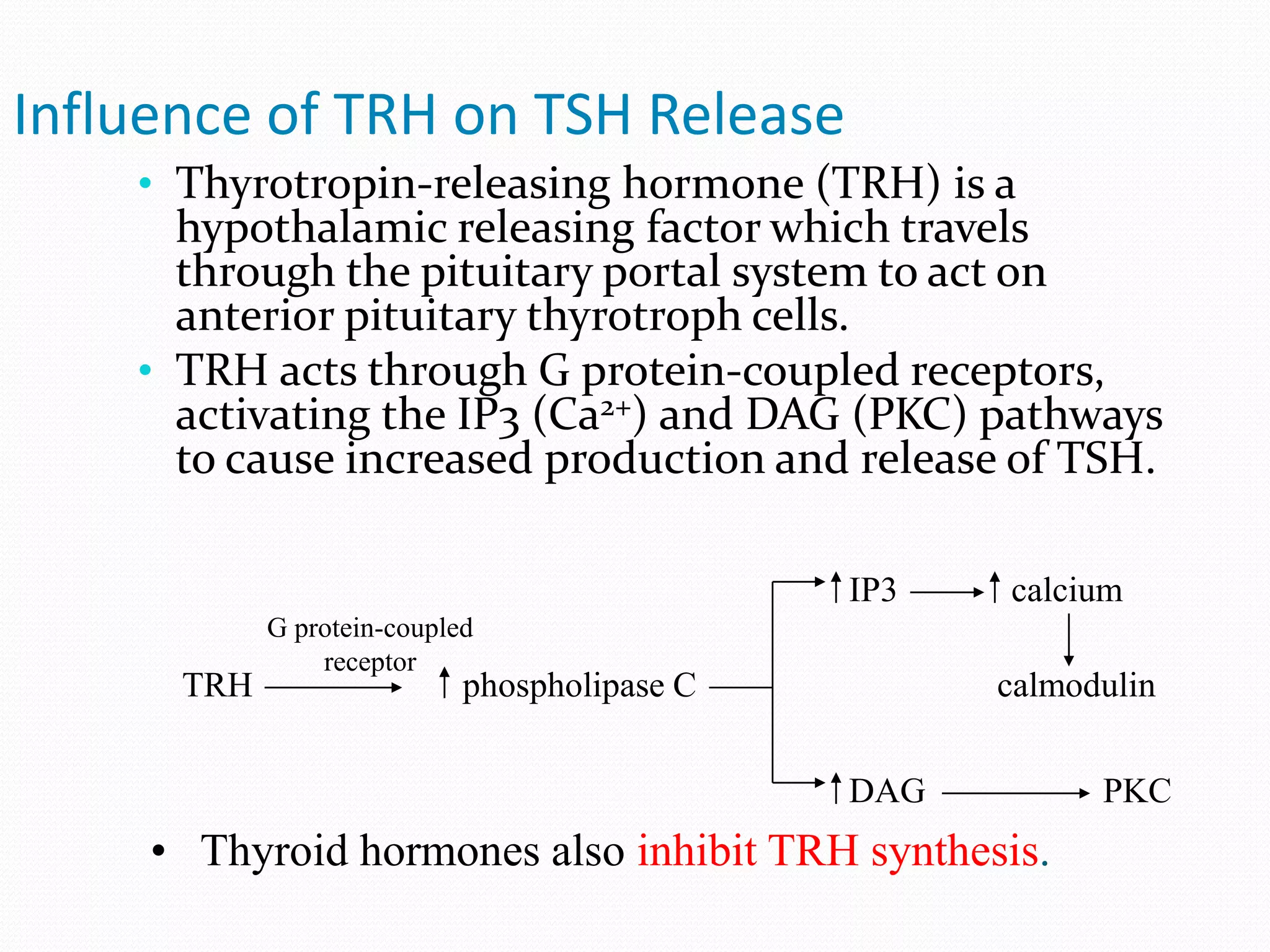 Thyroid hormone | PPT