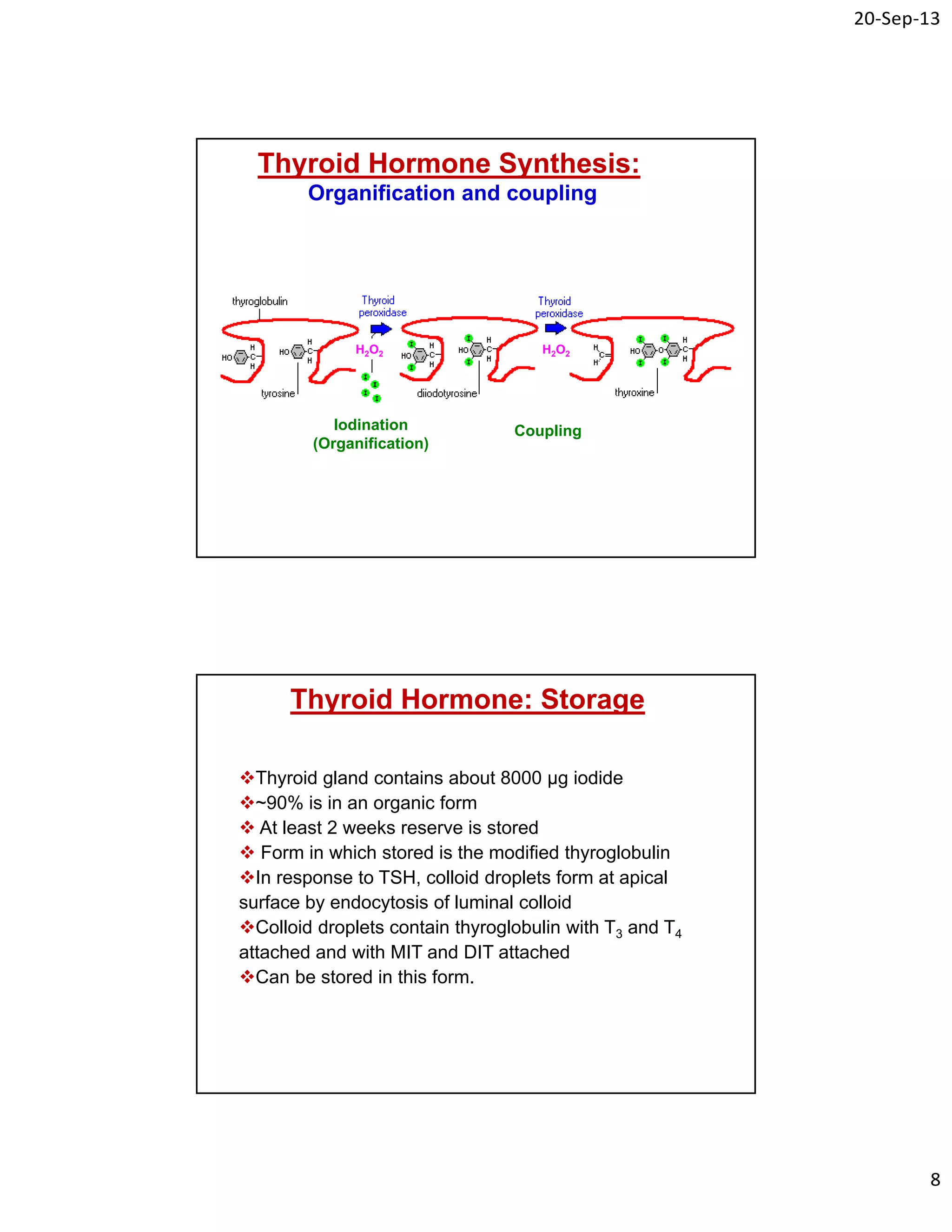 Thyroid hormone | PDF