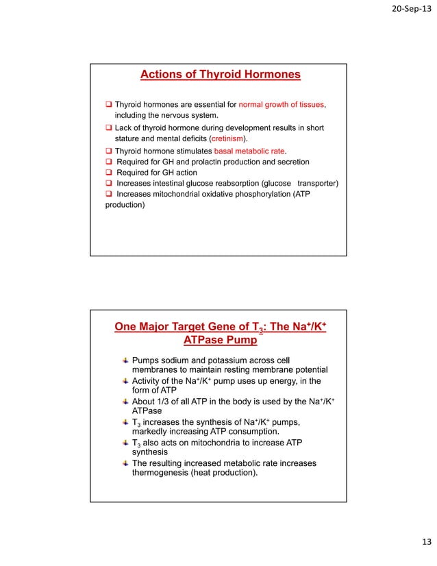 Thyroid hormone | PDF