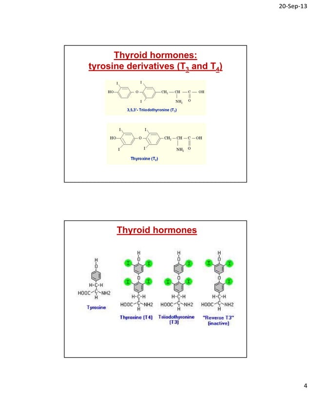 Thyroid hormone | PDF