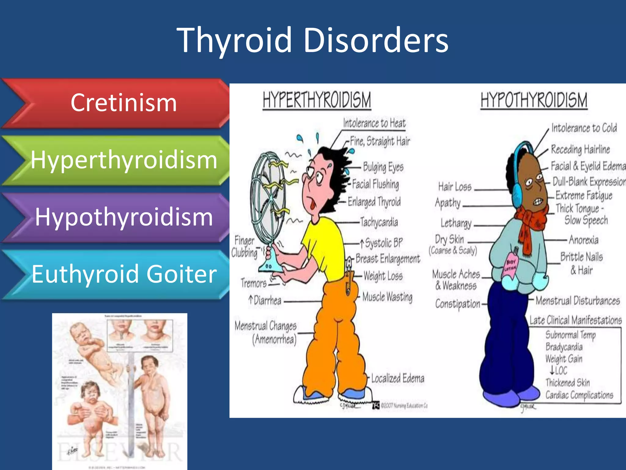 Thyroid hormone by Dr. Anurag Yadav | PPTX