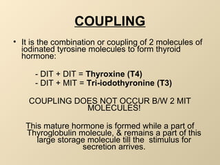Thyroid hormone and thyroid gland | PPT