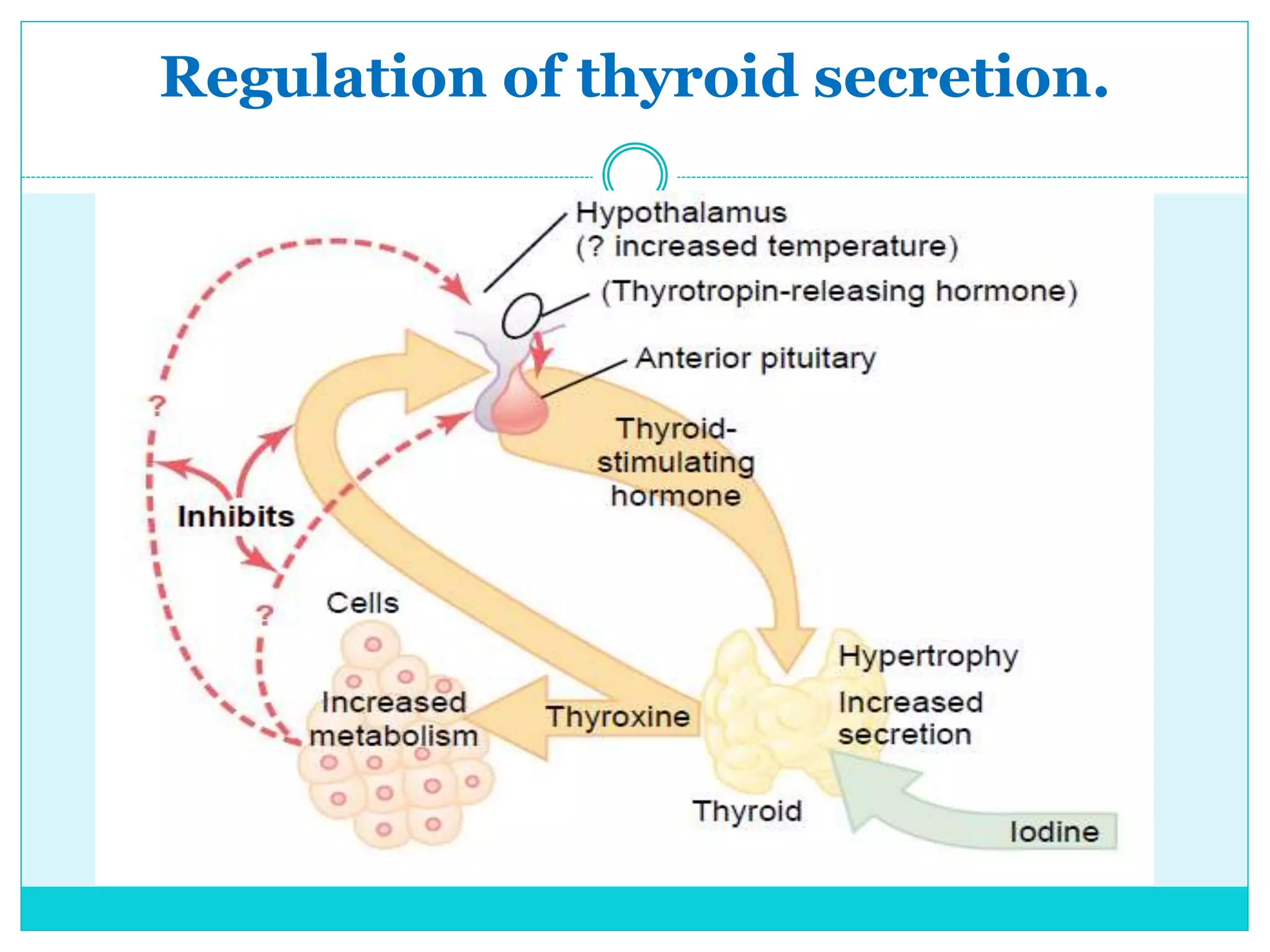 Thyroid hormone (The Guyton and Hall physiology) | PPTX