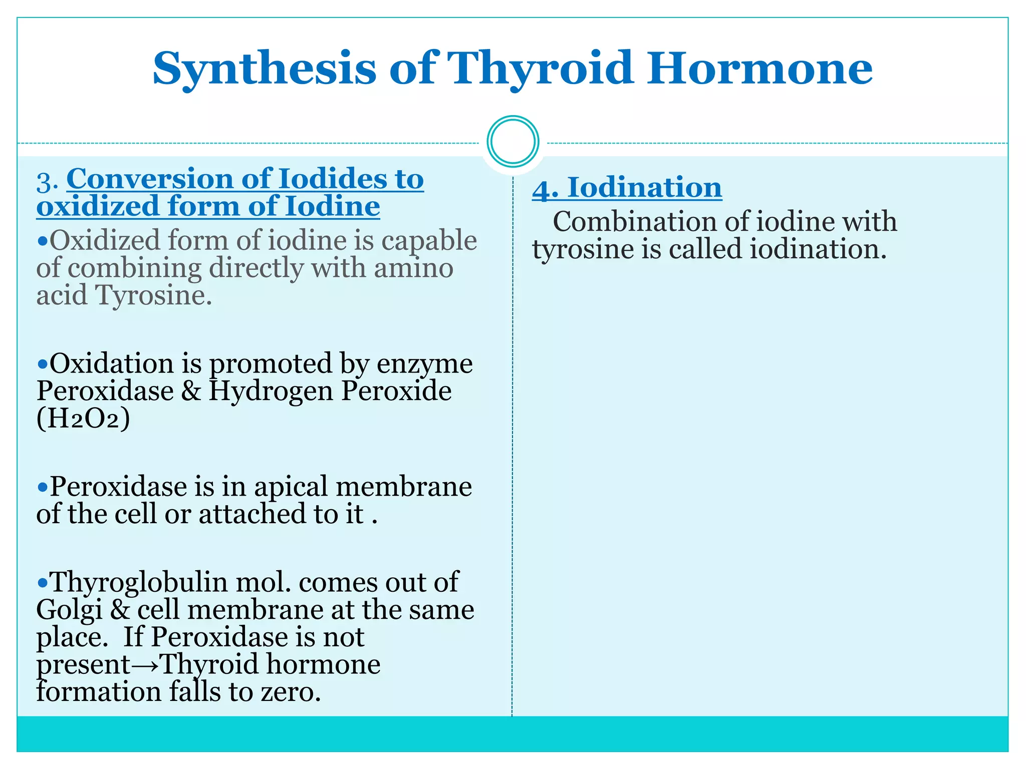 Thyroid hormone (The Guyton and Hall physiology) | PPTX