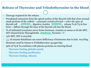 Thyroid hormone (The Guyton and Hall physiology) | PPTX