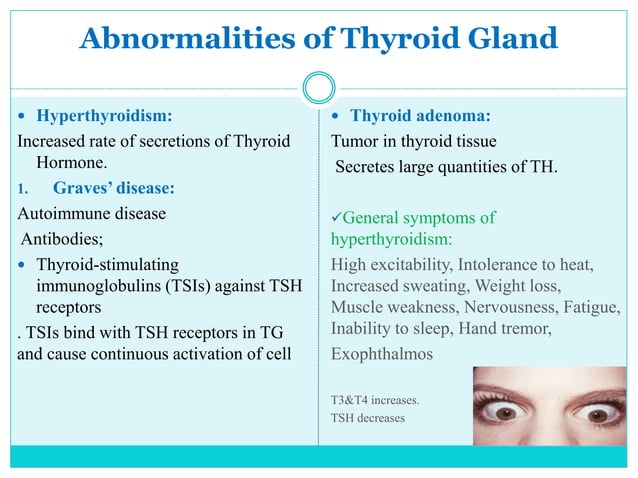 Thyroid hormone (The Guyton and Hall physiology) | PPTX